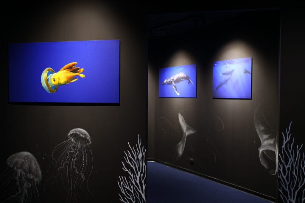 « Eau’dyssée », une exposition photographique onirique - NEOCEAN