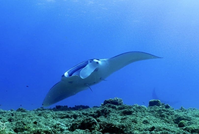 Rencontre avec Jérémie Katidjo Monnier, membre du Gouvernement en ...