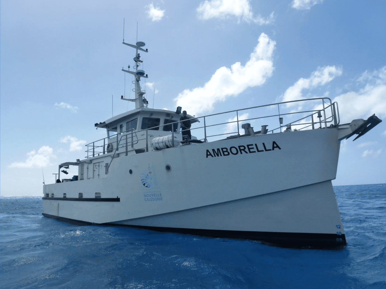 L'Amborella au coeur des îles Chesterfield - NeOcean