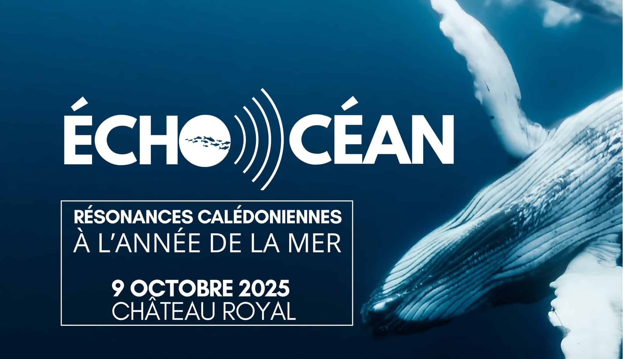 Éch’Océan fait des vagues pour l’Année de la Mer - NeOcean